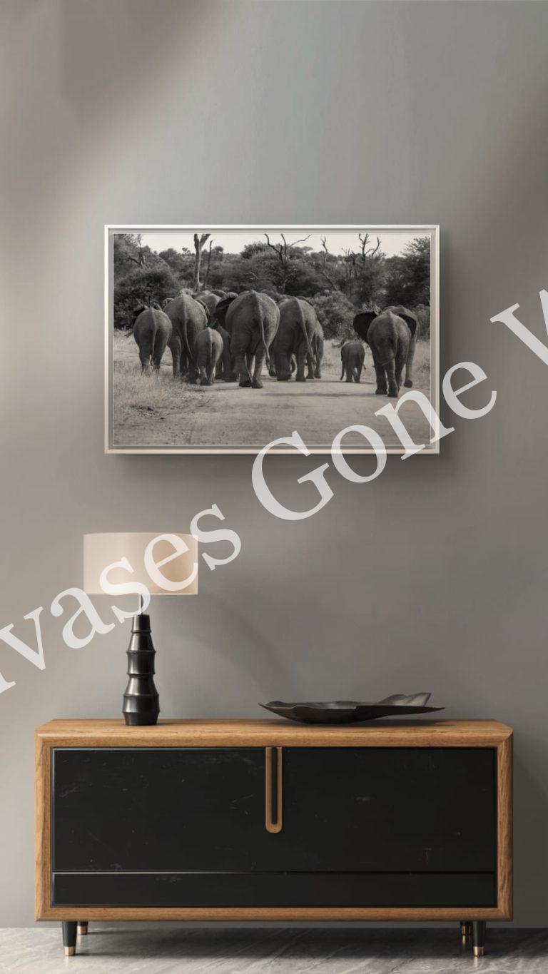 Wrapped Canvas mounted in Pine Floating Frame – Canvases Gone Wild